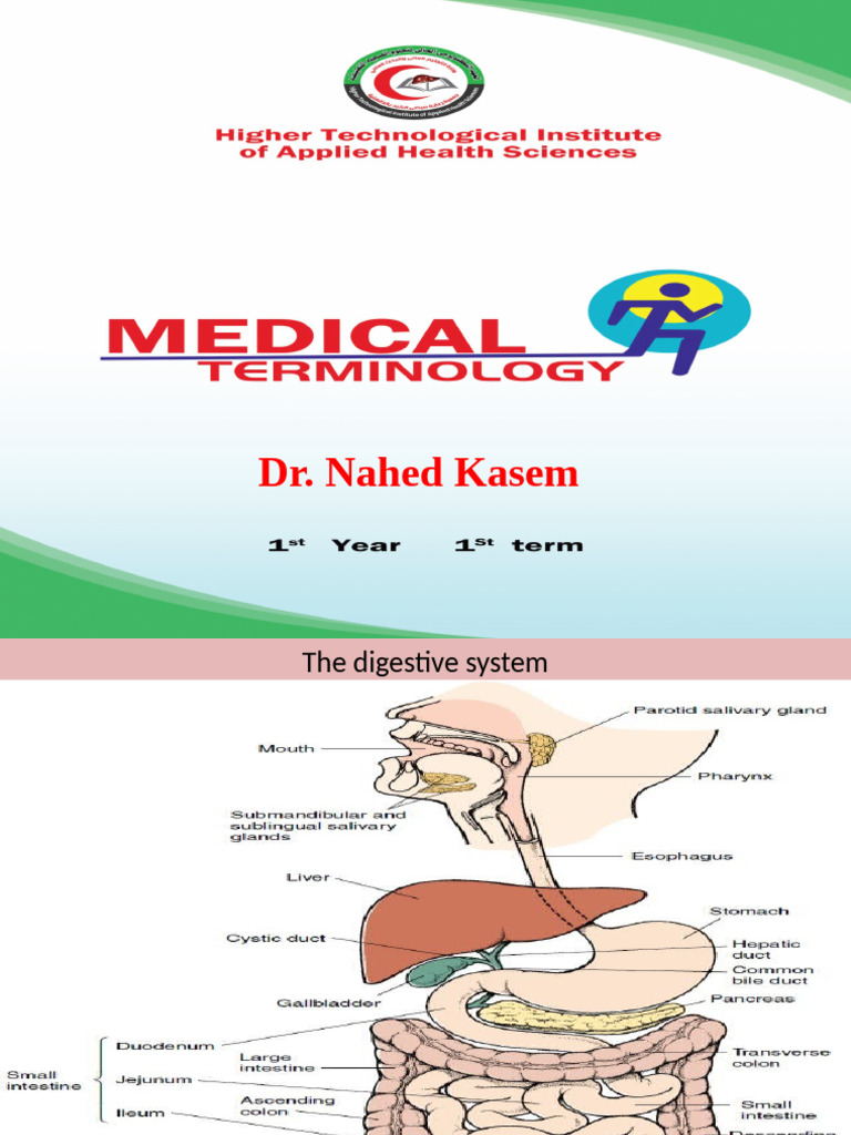5th Ecture of Medical Terminology, 2 ND Term | PDF | Anatomical Terms ...