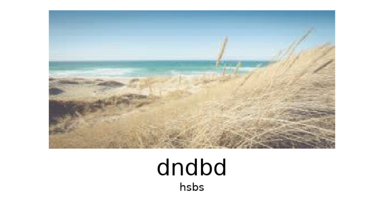 Presentation 2 | PDF