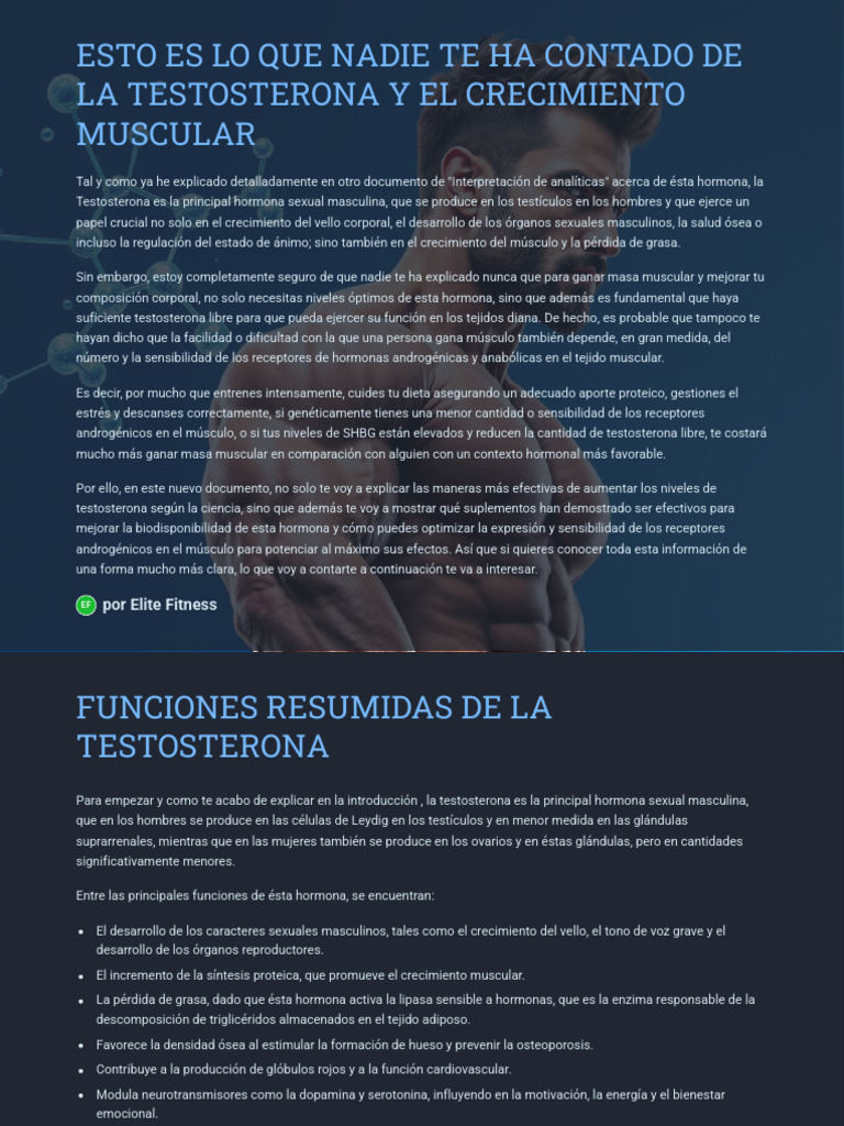 Testosterona y Crecimiento Muscular: Claves | PDF | Testosterona ...