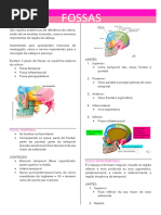 Forames Cranianos: Funções e Localizações | PDF | Anatomia humana ...