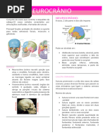 Aula de Suturas Do Crânio | PDF | Crânio | Morfologia (Biologia)