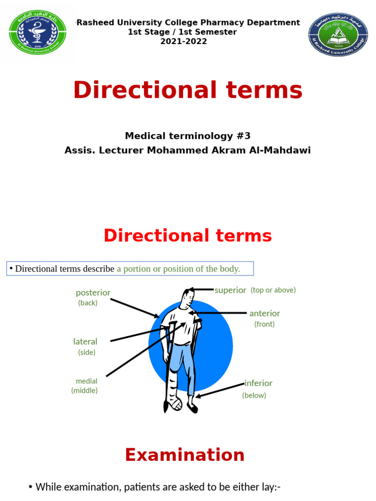 Understanding Directional Terms in Anatomy | PDF