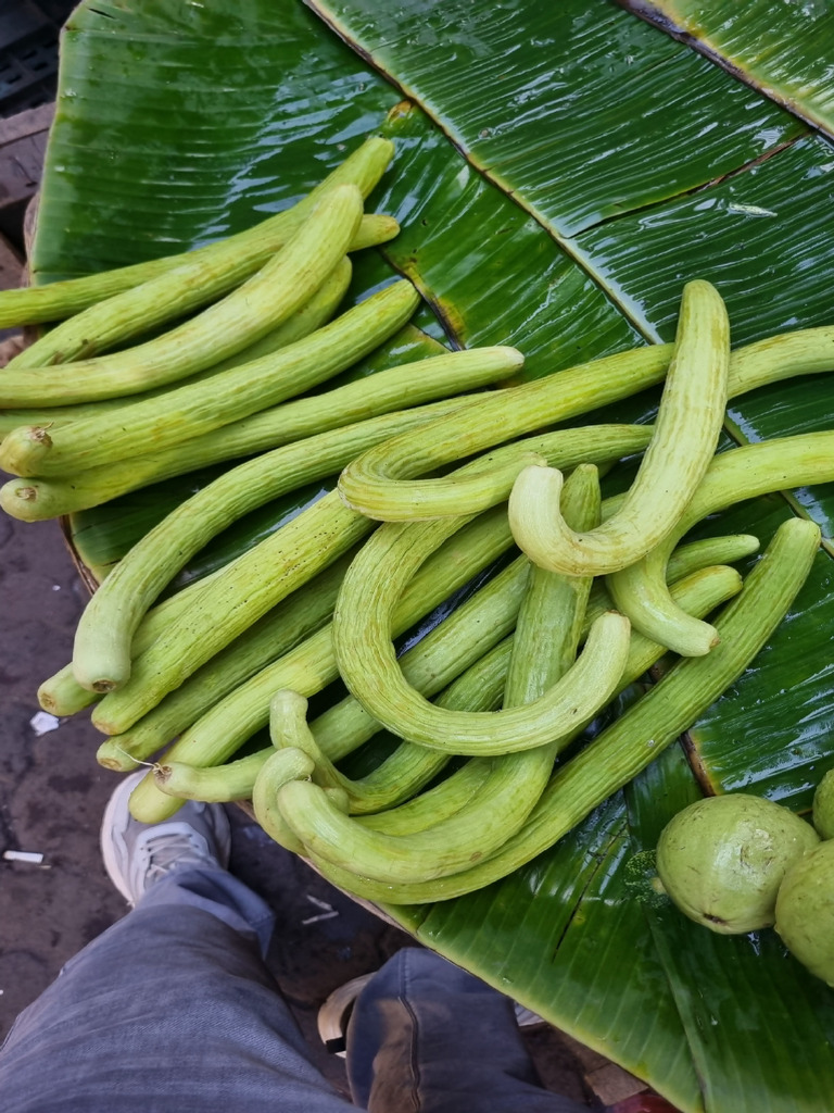 Gallery_20250412_010136 | PDF