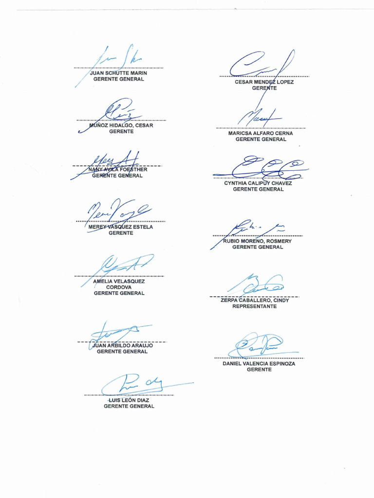 Firmas 1 | PDF