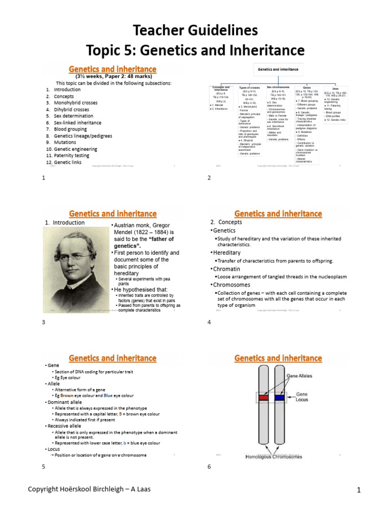 GR 12 LS Topic 5 - Genetics and Inheritance - 2021 - TG - RL | PDF ...