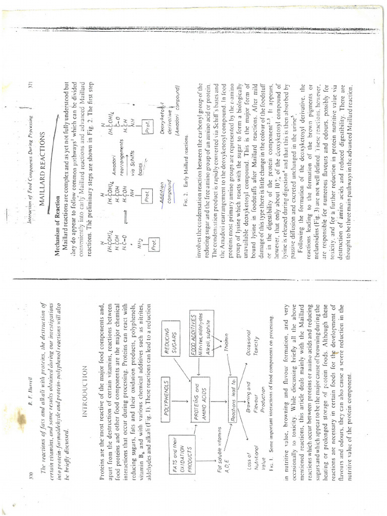 Yyyyy | PDF