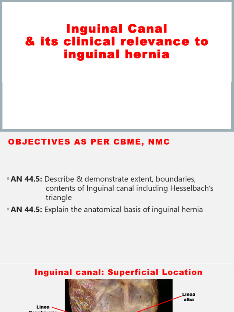 Inguinal Canal & its clinical relevance to | PDF