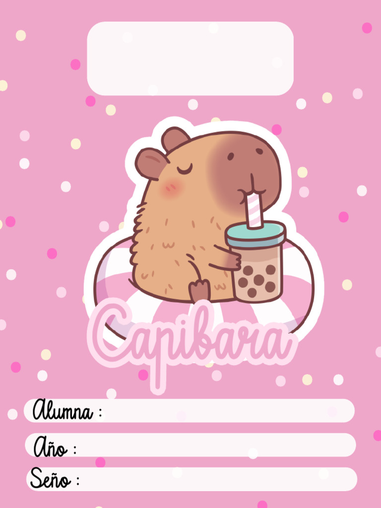 Capibara 20250301 192149 0000 | PDF