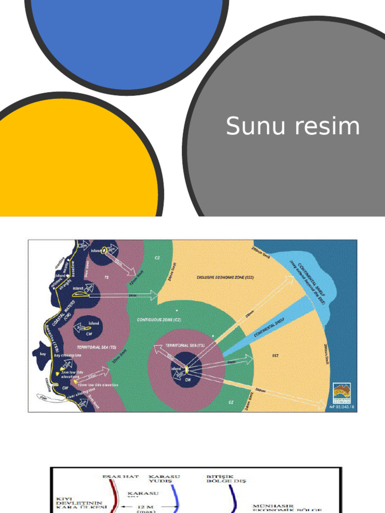 Sunu Resim Deniz Hukuku | PDF