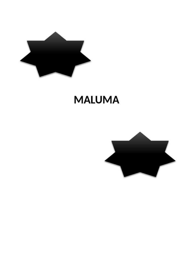 SESION FOTOGRAFICA MALUMA 2030 | PDF