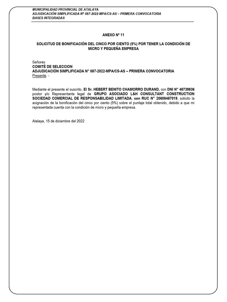 Anexos 11 Grupo Asociados L&M | PDF