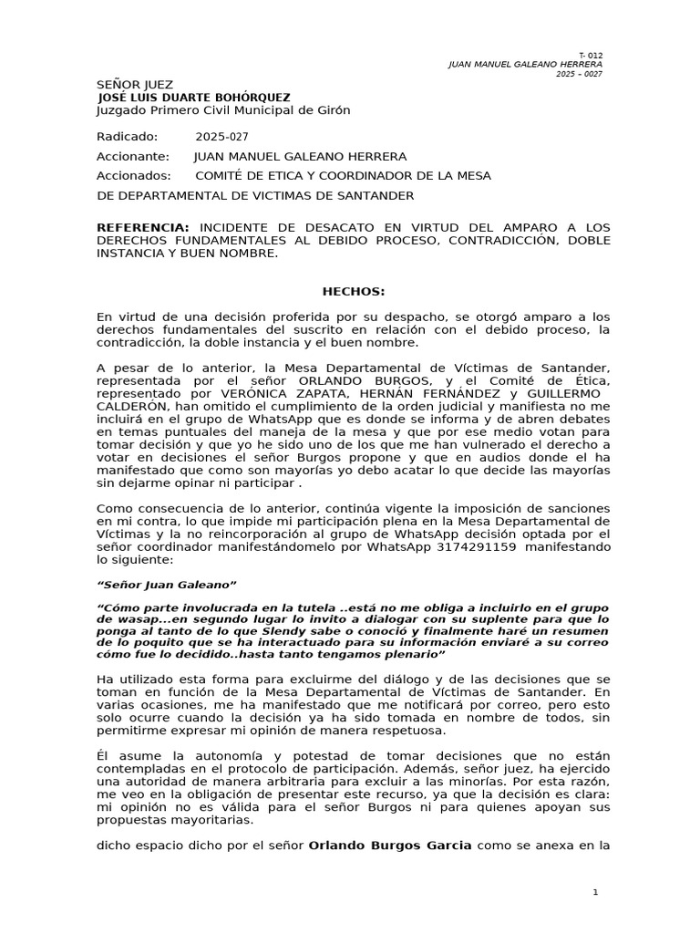 Incidente de Desacato SENTENCIA TUTELA 2025-027 | PDF | Debido al ...