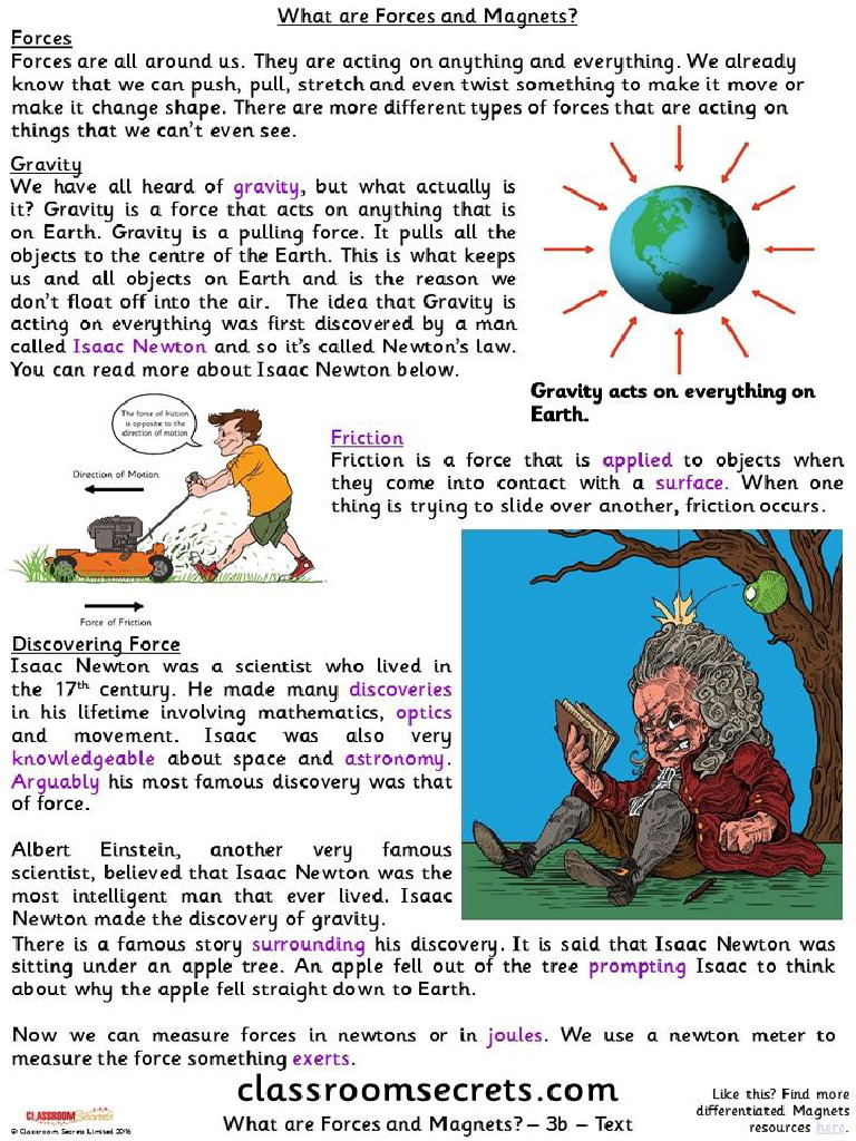 Grade 5 Science Worksheet | PDF