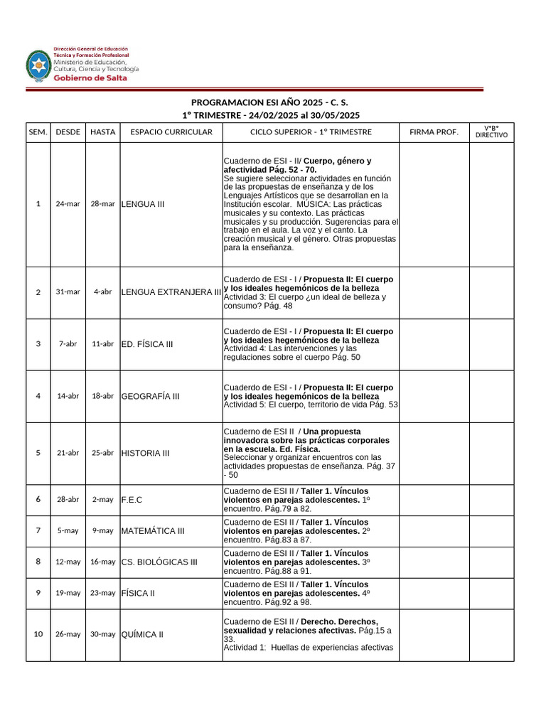 PLAN ESI 1° CS 2025-1 | PDF