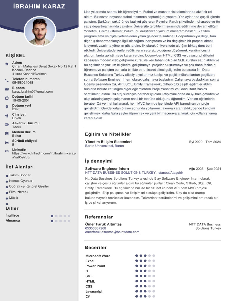 CV İbrahim Karaz | PDF
