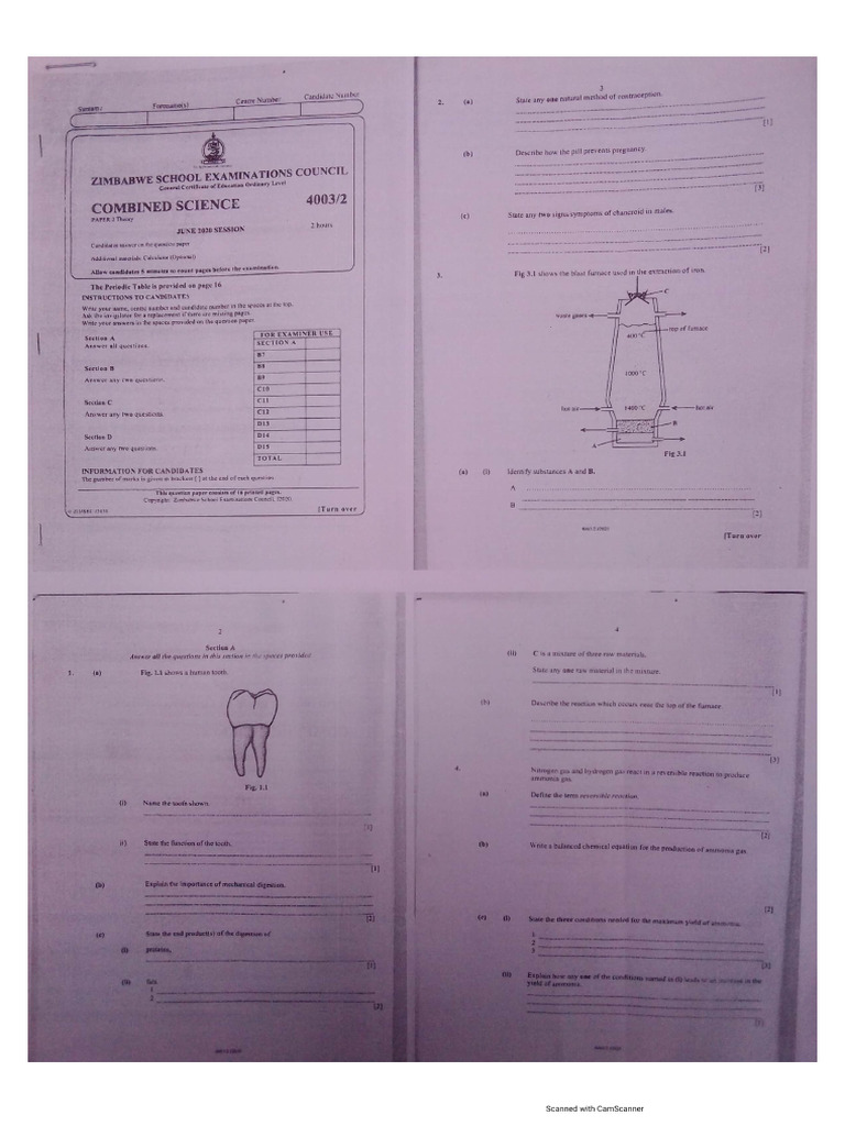 Combined Science p2 2020 | PDF