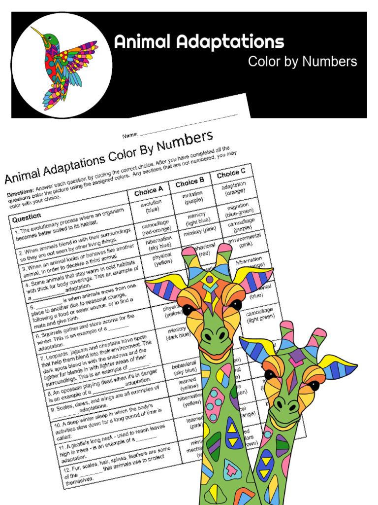 Giraffe Adaptations Explained | PDF | Adaptation | Camouflage