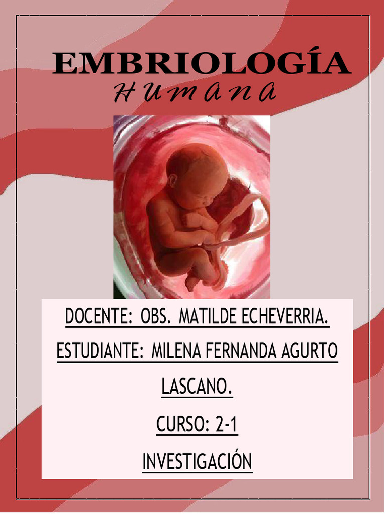 Teratogénesis: Riesgos y Regulación | PDF | Especialidades Medicas ...