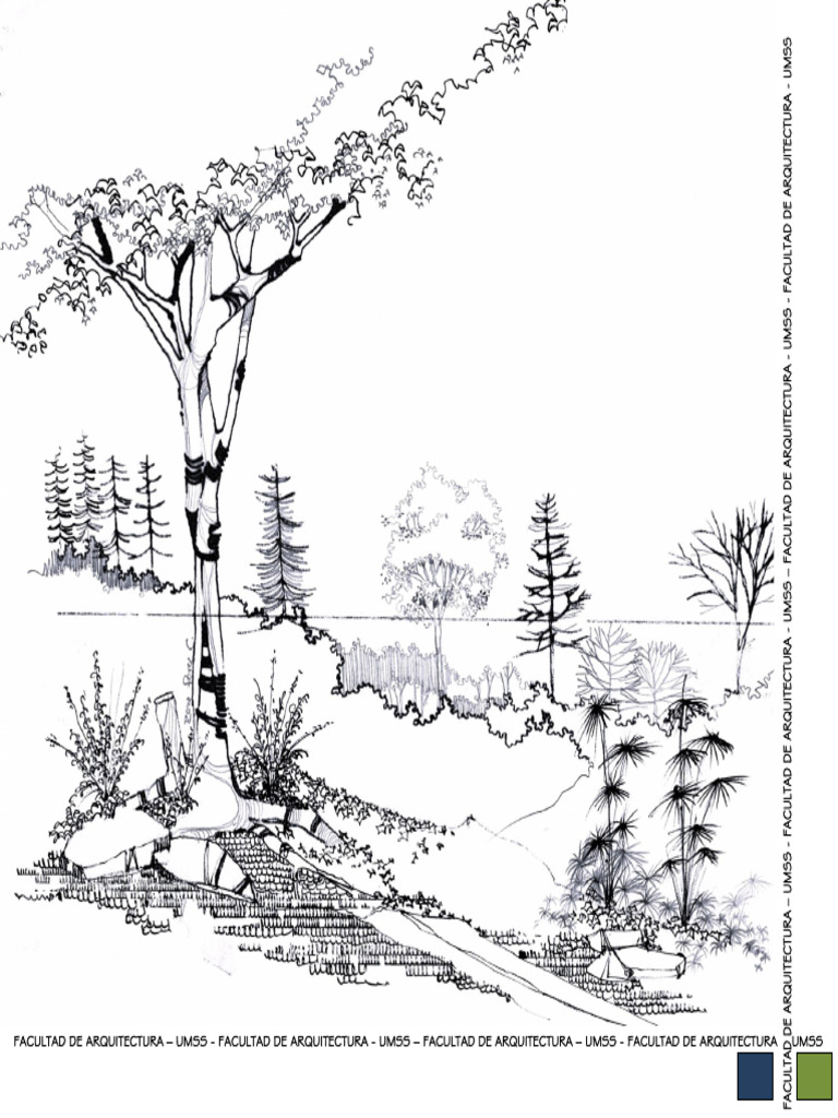 Practica - Lineas Combinadas - Vegetacion | PDF