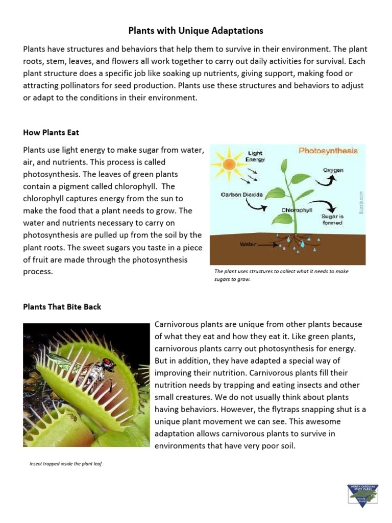 Unique Adaptations of Carnivorous Plants | PDF | Plants | Pollinators