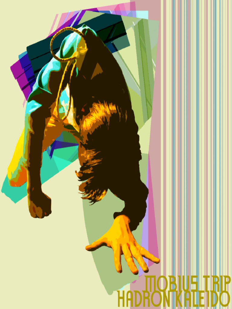 Mobius Trip and Hadron Kaleido Booklet | PDF