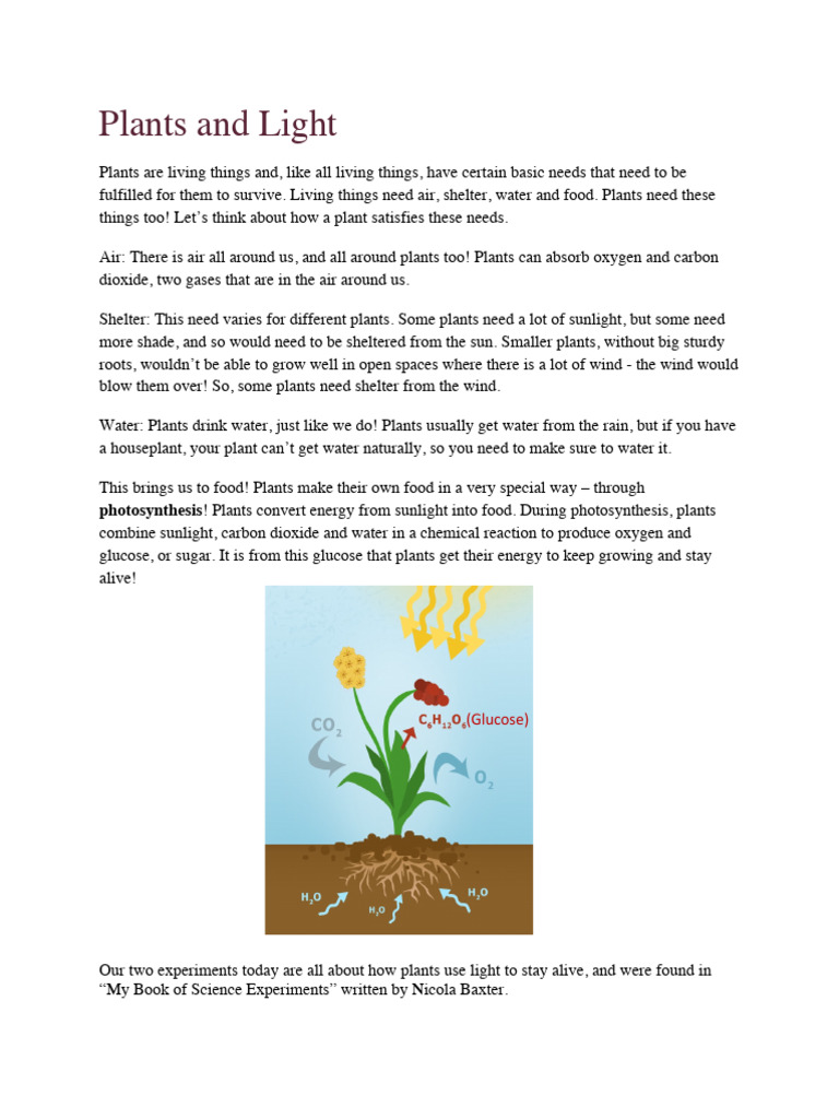 Photosynthesis for Kids: Fun Experiments | PDF | Plants | Photosynthesis