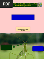 Suelos Fluvisoles: Importancia y Uso | PDF | Suelo | Riego