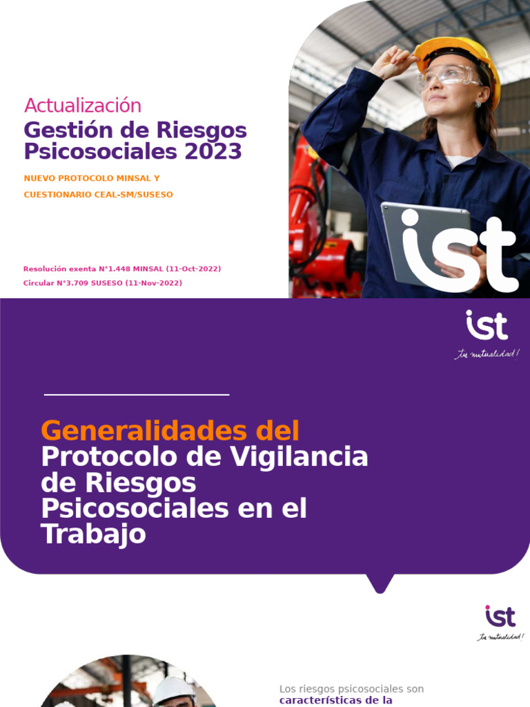 Capacitación Comite Psicosocial | PDF | Las emociones | Sicología