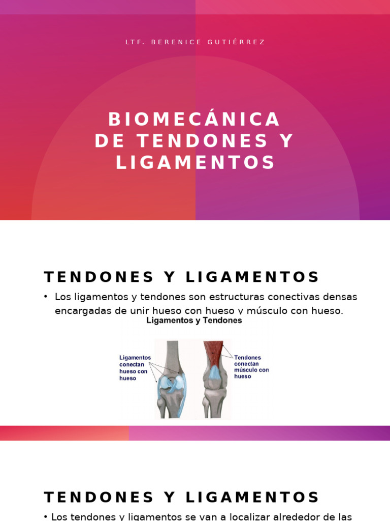 Biomecánica de Tendones y Ligamentos | PDF | Tendón | Deformación ...