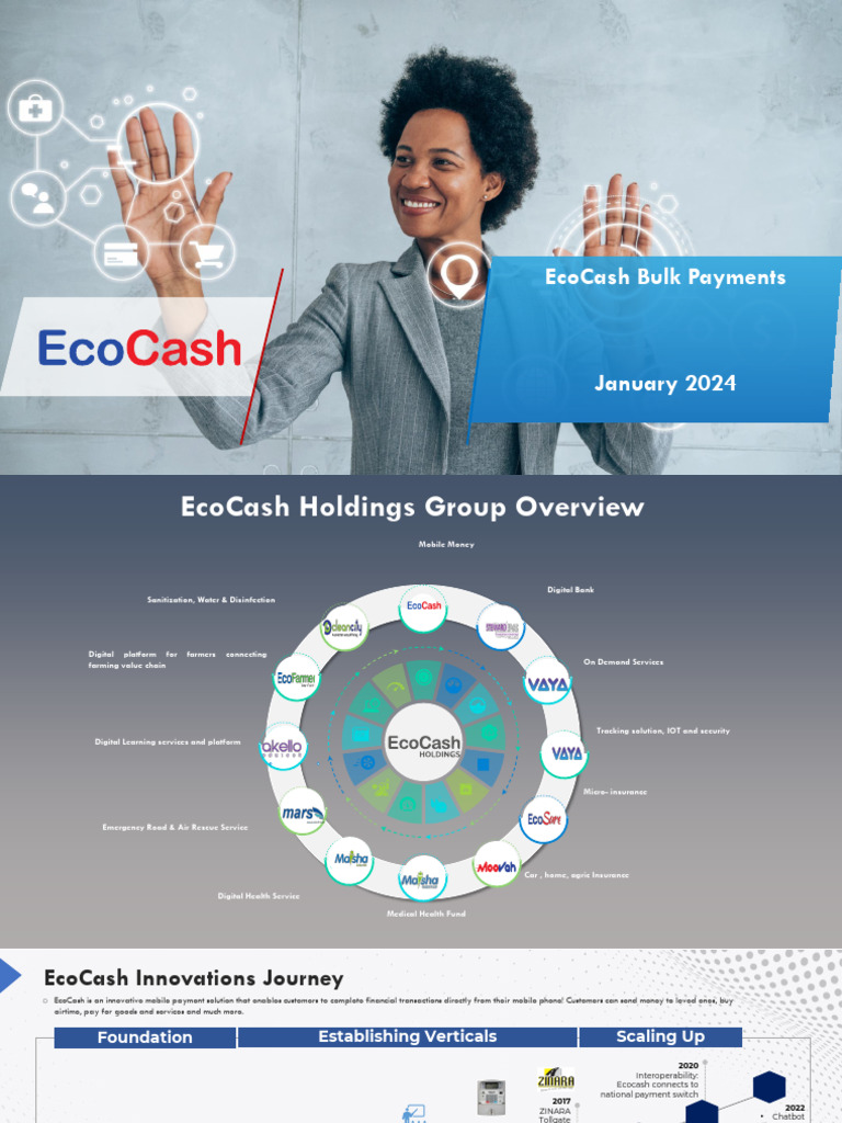 EcoCash Bulk Payments Overview 2024 | PDF | Cash | Banks