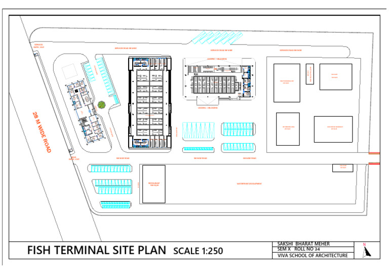 13 02.25.fish Terminal-Layout1 | PDF | Fish And Humans