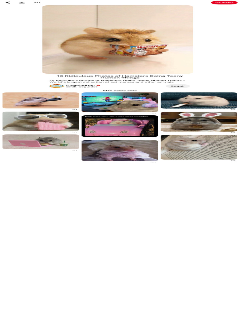 httpswww.pinterest.compin356277020532487698 | PDF