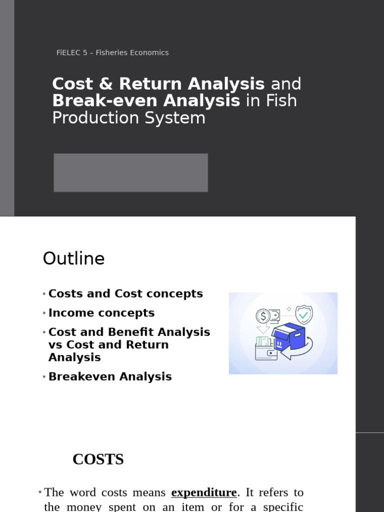 Cost and Return Analysis in Fish Production | PDF | Return On ...