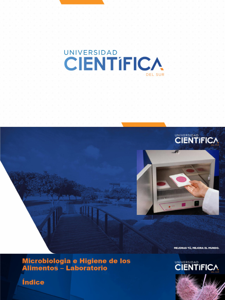 Sem 1 - Practica - PPT Bioseguridad, Instrumentacion y Tecnicas de Esterilización | PDF ...