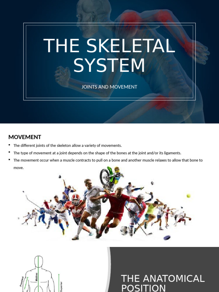 THE SKELETAL SYSTEM Joints and Movement | PDF | Anatomical Terms Of ...
