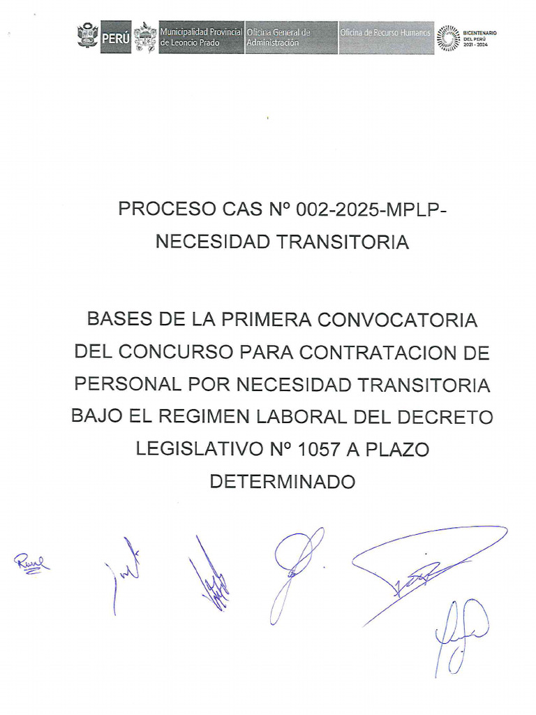 Bases Proceso Cas 002-2025 | PDF