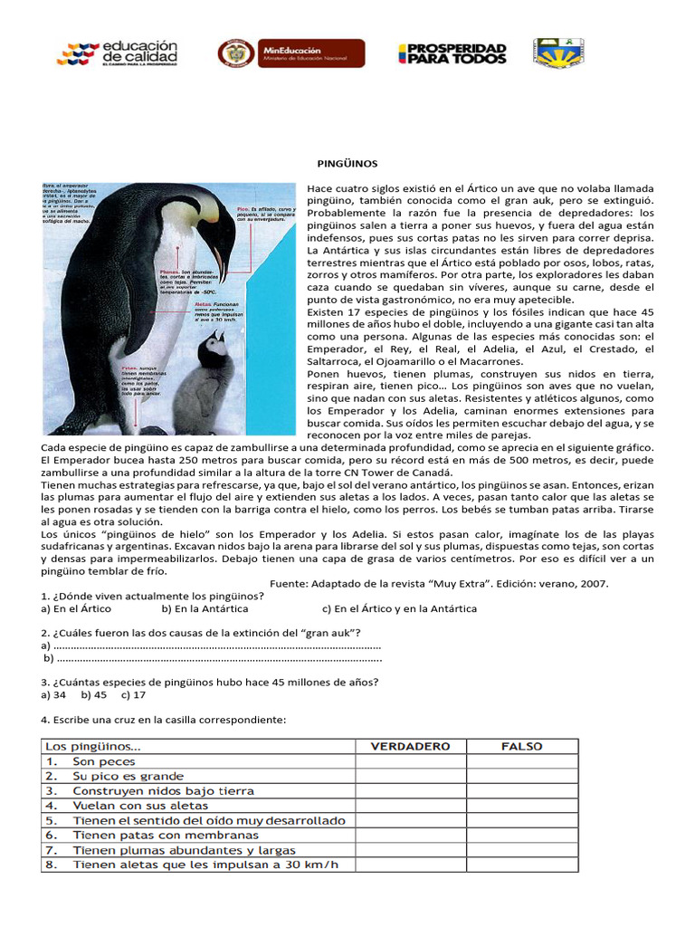 Causas de la extinción del gran auk | PDF | Pingüino | Aves
