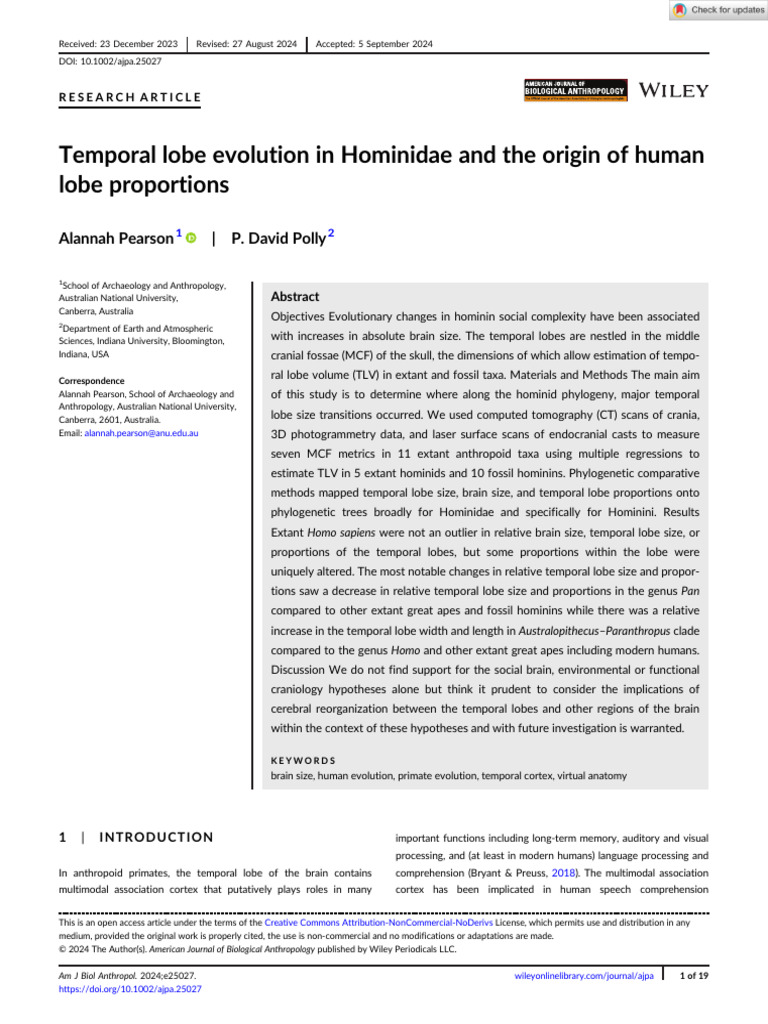 American Journal of Biological Anthropology - 2024 - Pearson - Temporal Lobe Evolution in ...
