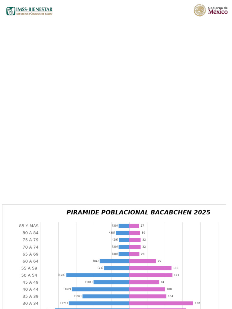 Piramide Poblacional | PDF