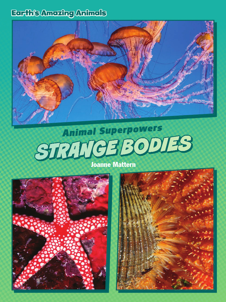 Deadly Weapons: Strange Bodies | PDF | Skeleton | Zoology