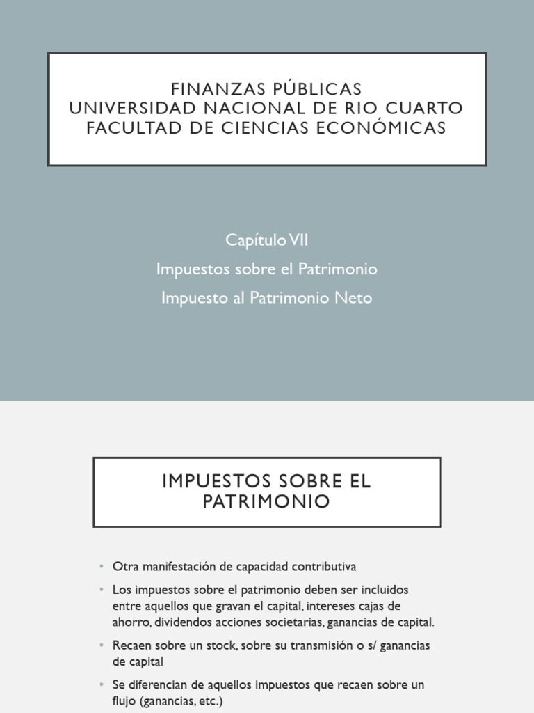 Cap VII - Impuesto Patrimonio Neto - PP | PDF | Impuestos | Economias