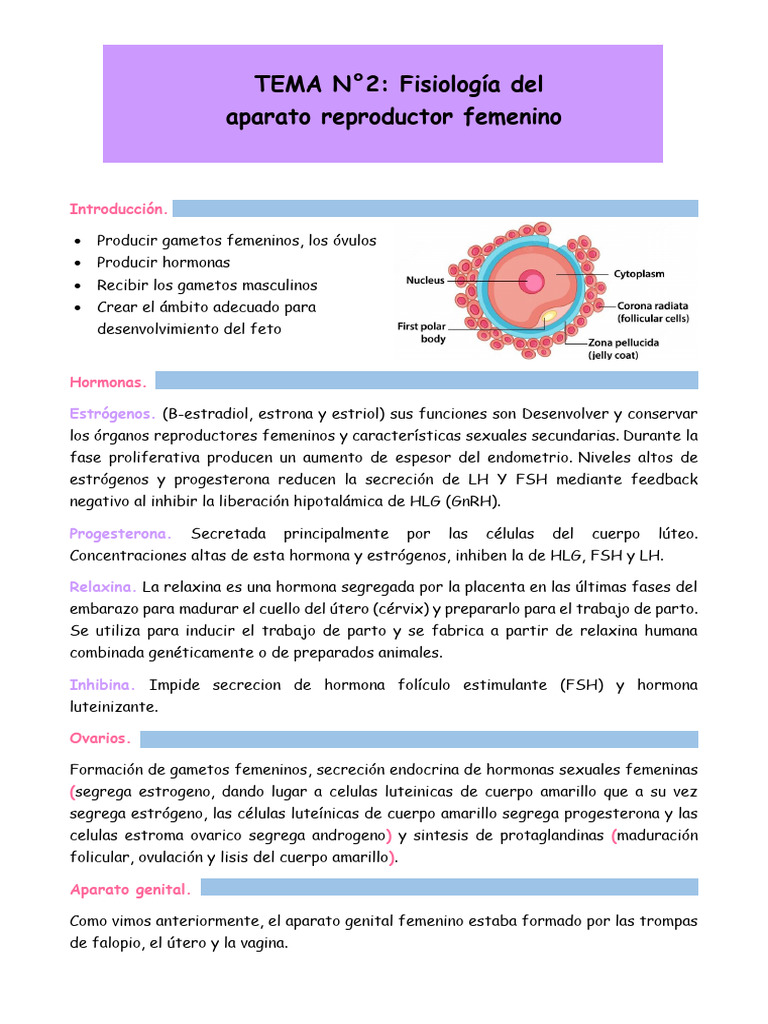 Tema 2 3 4 Gineco | PDF | Hormona luteinizante | Estrógeno