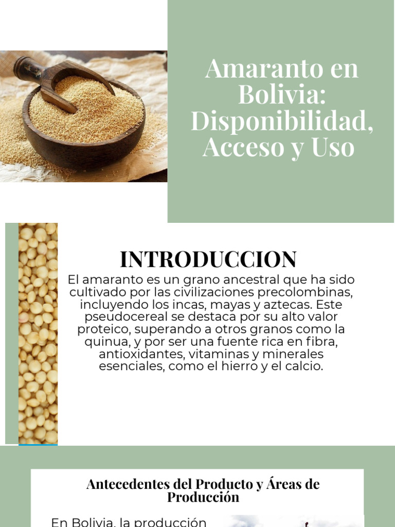 Amaranto en Bolivia: Disponibilidad y Uso | PDF | Quinua | Cereales