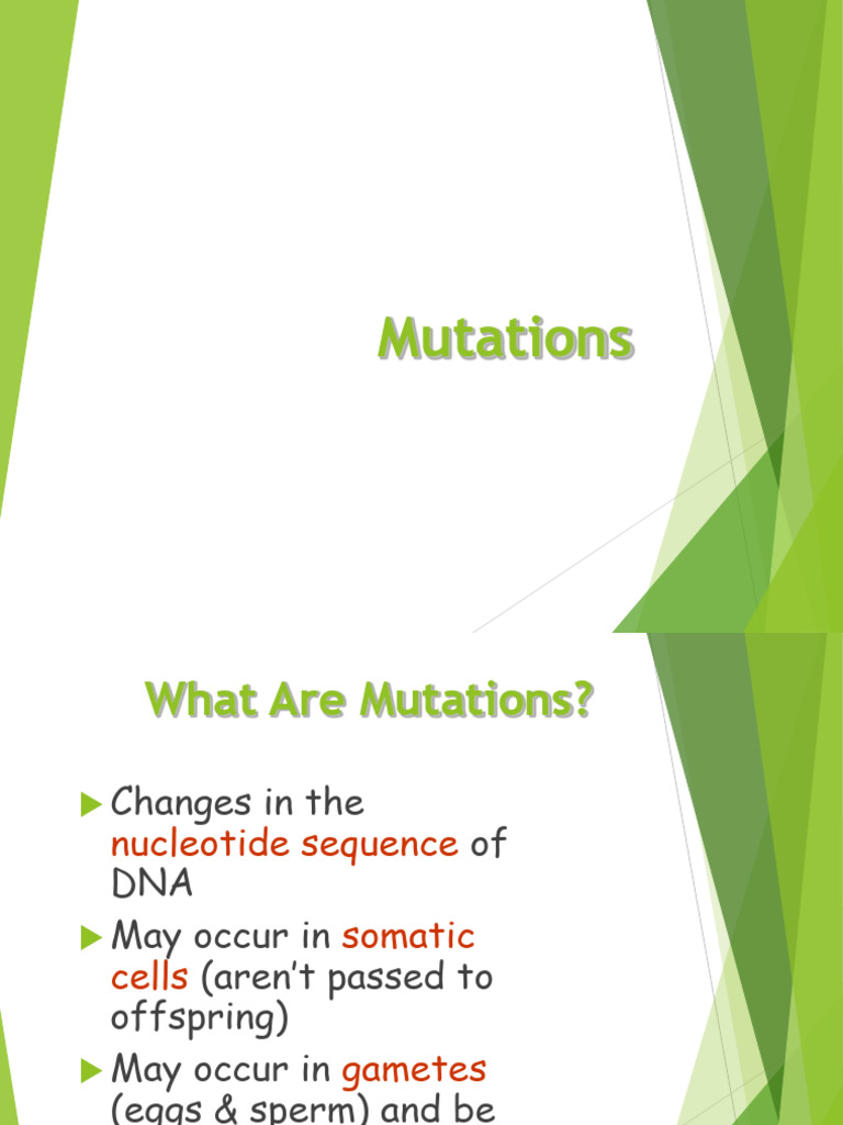 Types of Mutations | PDF
