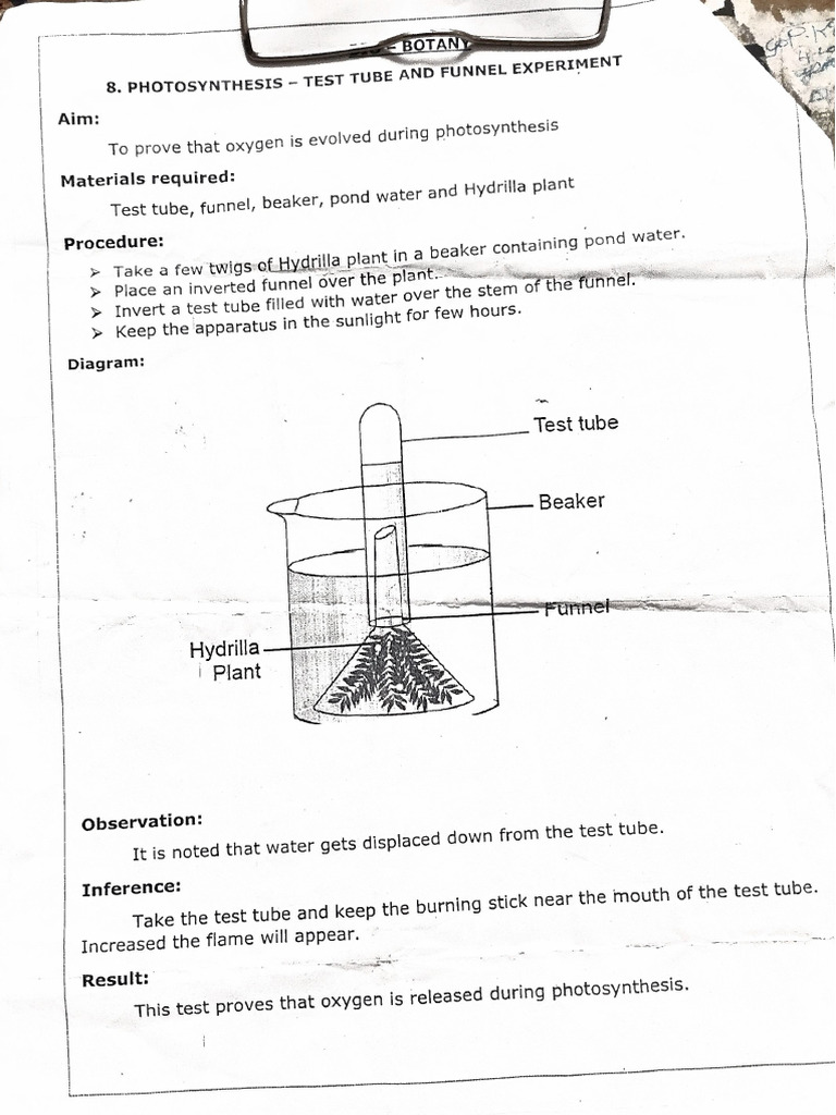 Test Tube and Funnel Expriment | PDF
