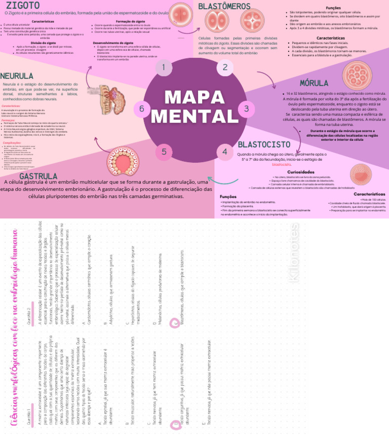 Mapa Mental Embriologia PDF | PDF | Processos biológicos | Reprodução