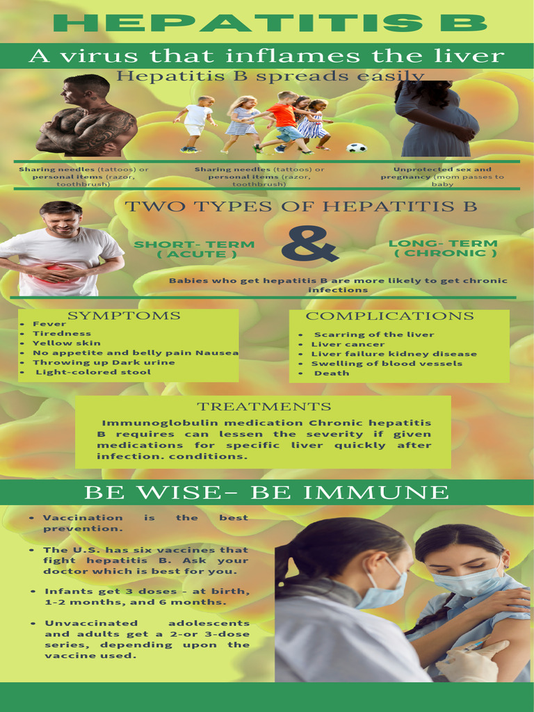 Understanding Acute and Chronic Hepatitis B | PDF