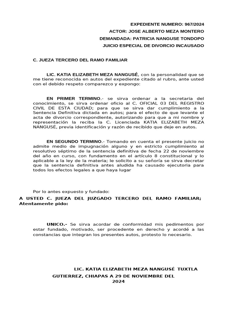 Formato Sentencia Oficial Del Registro Civil | PDF