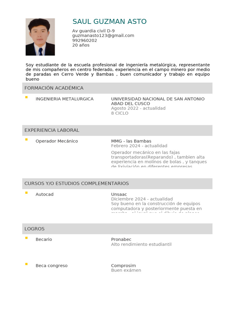 CV Saul | PDF