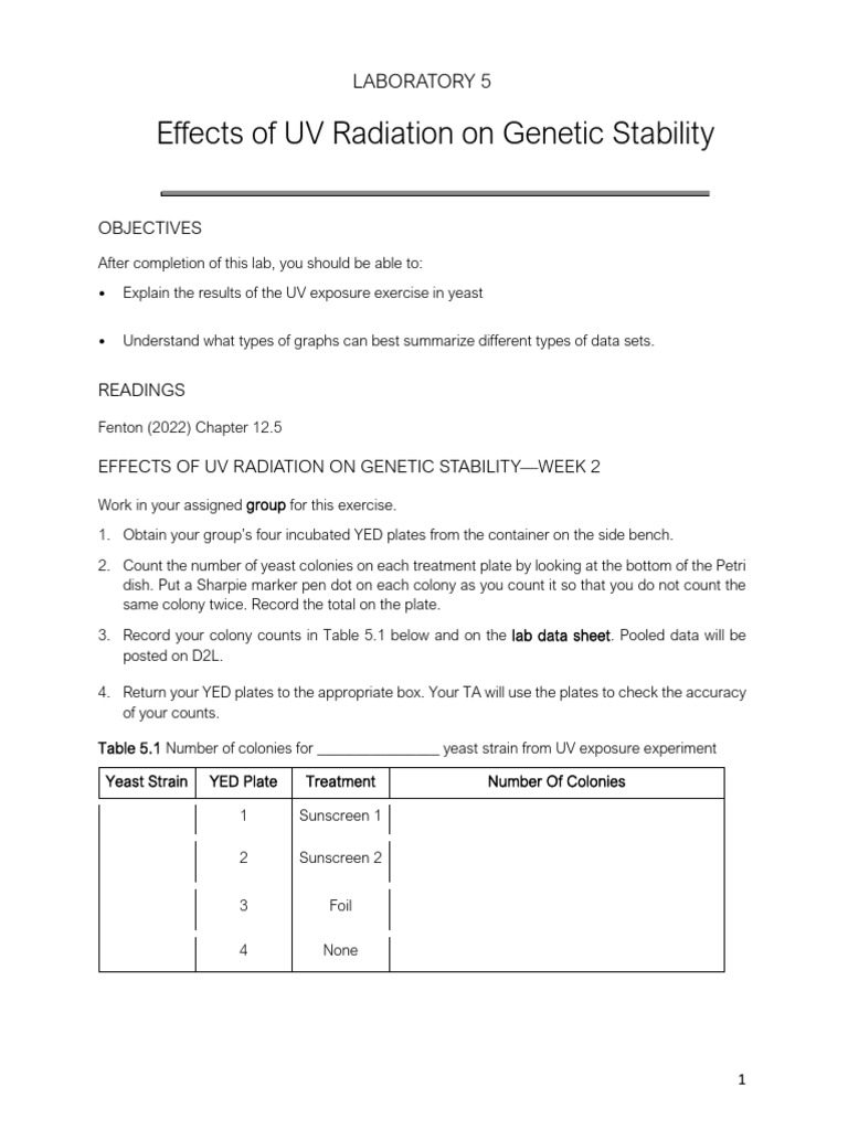 Lab 5 UV Radiation On Genetic Stability II | PDF